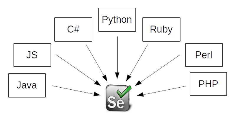 Selenium Testing: Components, Pros, Cons & its Demand | FITA Academy Selenium Testing: Components, Pros, Cons & its Demand | FITA Academy
