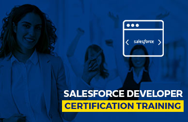 Salesforce Developer Online Course | Salesforce Developer Online Training | FITA Academy
